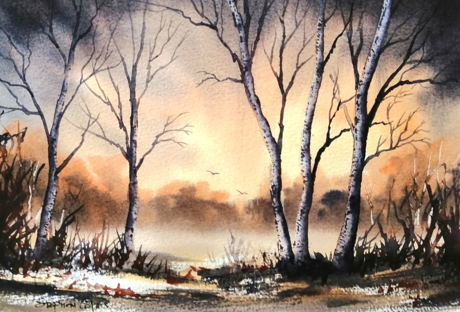 Studio Workshops – Coates Art